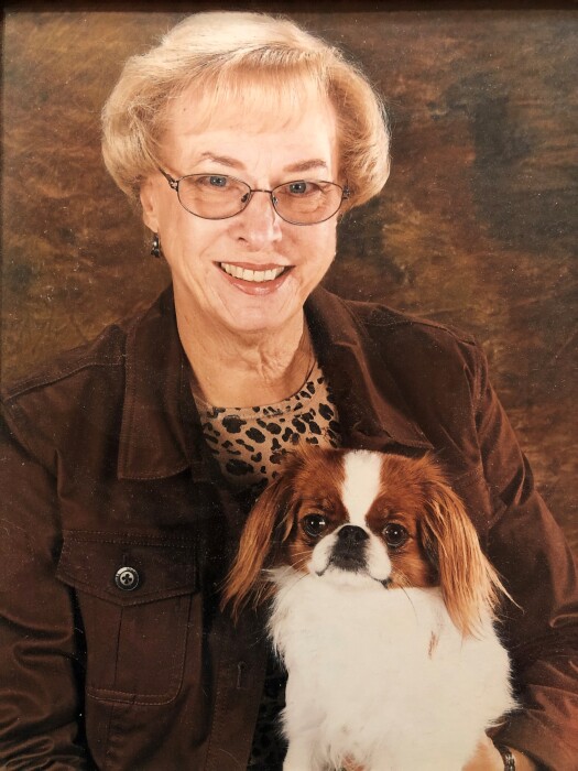 Ann Sun's Instagram, Twitter & Facebook on IDCrawl