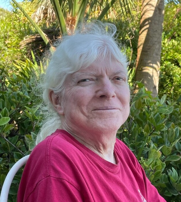 David Bruce Dison – Quad Cities Daily