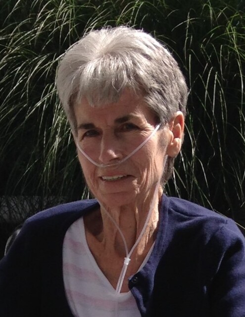 Lisa Ditullio's Instagram, Twitter & Facebook on IDCrawl