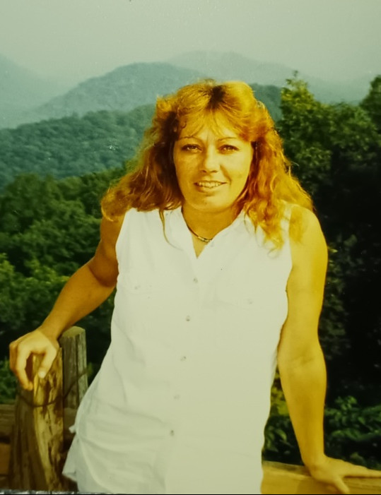 Tina Marie Shepherd – Quad Cities Daily