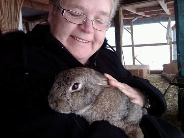 Barbara Fillion's Instagram, Twitter & Facebook on IDCrawl