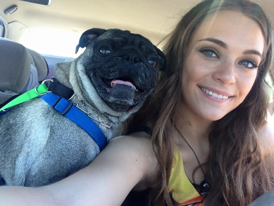 James Defranco's Instagram, Twitter & Facebook on IDCrawl