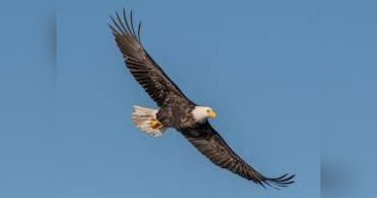 Adam Payne Obituaries | Search Results