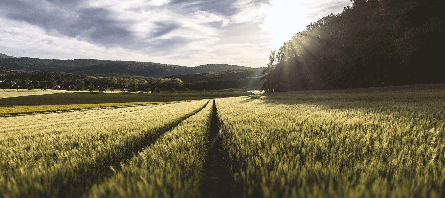 Cone Funeral Home - Bowling Green KY Funeral Home & Cremation