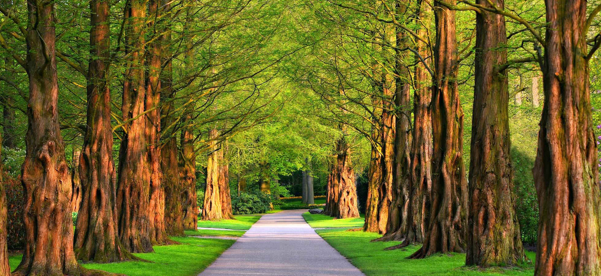 Funeral Homes Chattanooga, TN | Covenant Funeral & Crematory