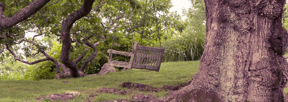 Obituary For Randy Dee Hafen