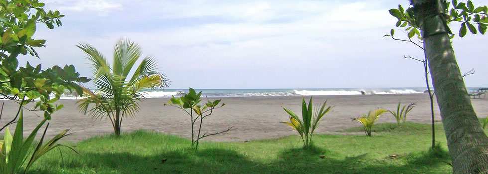 MacDonald Funeral Home & Cremation Services | Tampa FL funeral home and ...