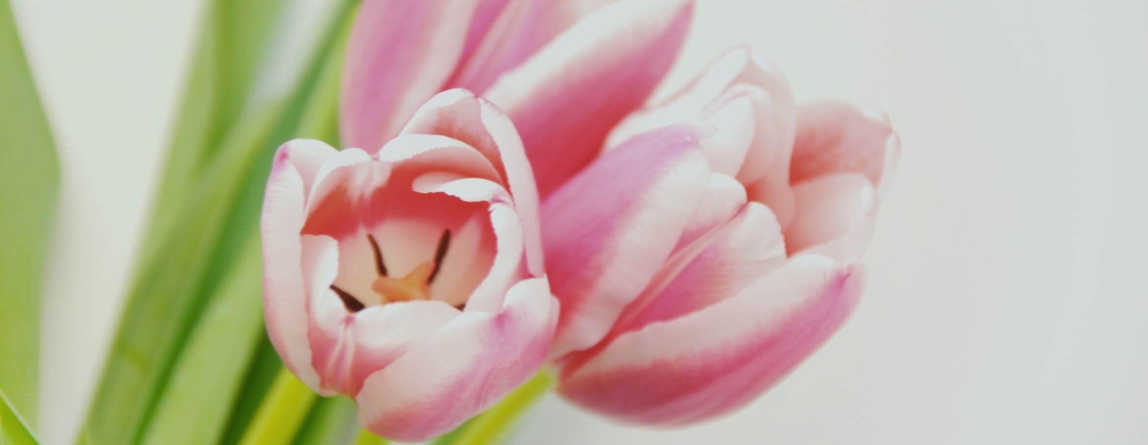 Ridgemont Mortuary | Houston TX funeral home and cremation