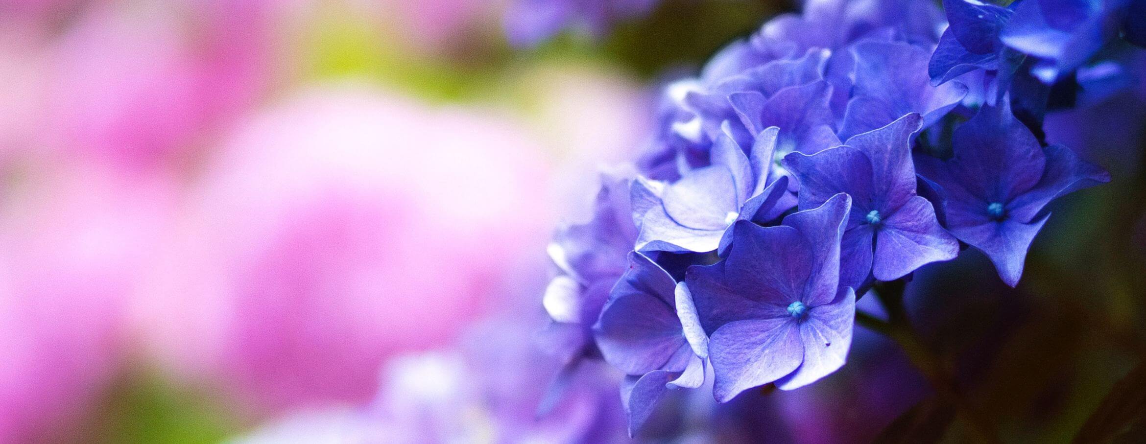 Ridgemont Mortuary | Houston TX funeral home and cremation