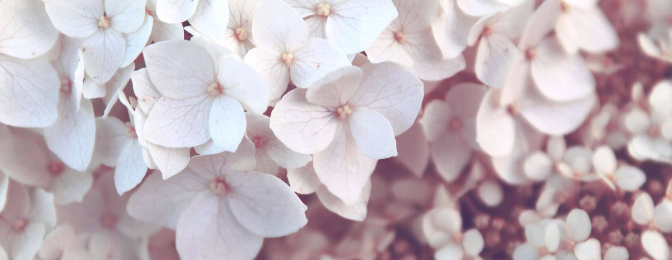 Ridgemont Mortuary | Houston TX funeral home and cremation