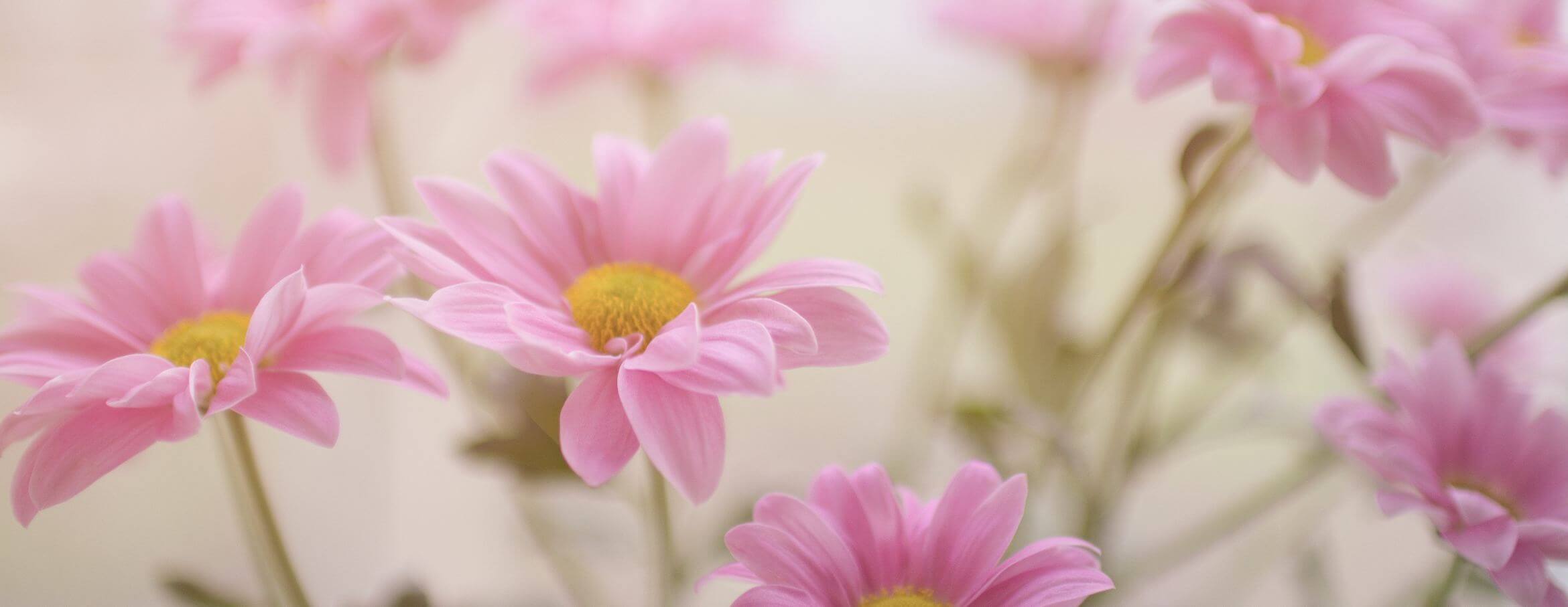 Ridgemont Mortuary | Houston TX funeral home and cremation