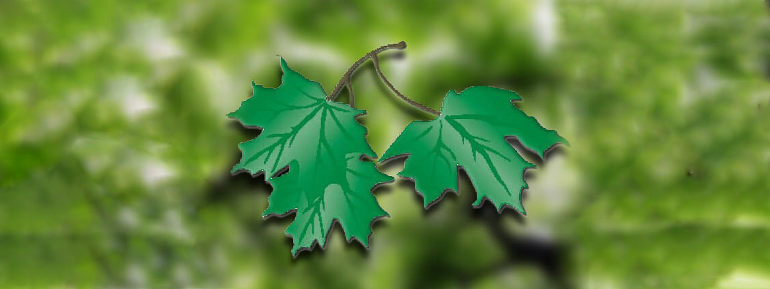 Reynolds Funeral Home | Bracebridge ON funeral home and cremation