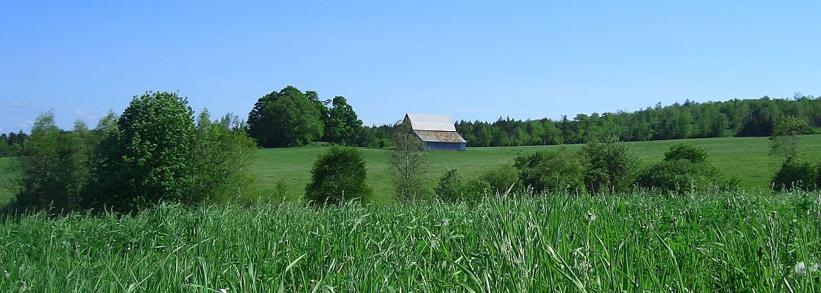 Neely Funeral Home | Glenshaw PA funeral home and cremation