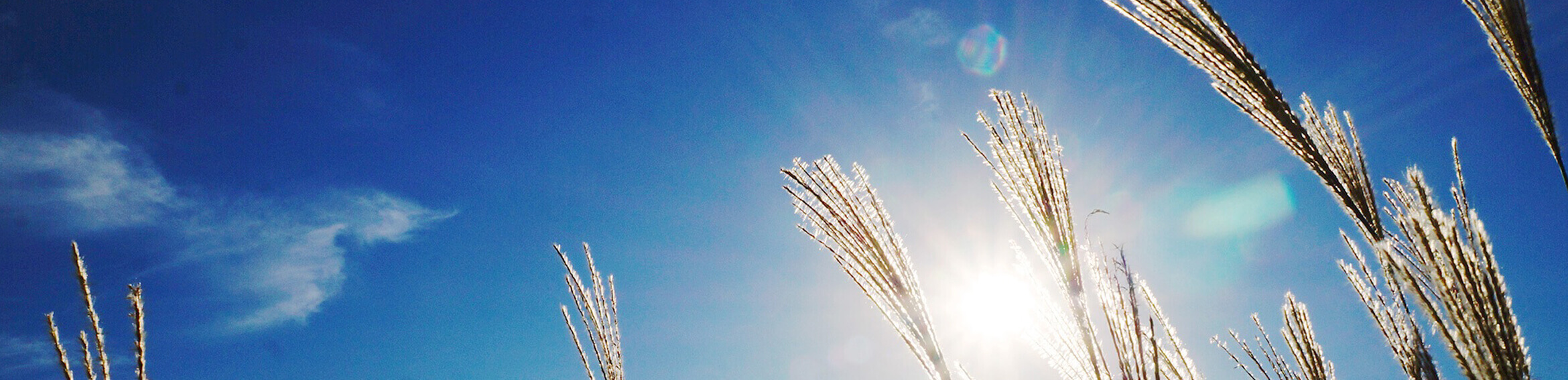 Obituary for Rodney Glen Pederson