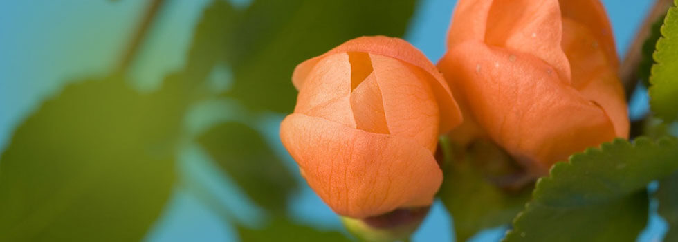 Neely Funeral Home | Glenshaw PA funeral home and cremation