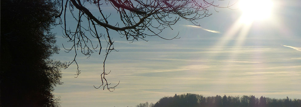 Commerce Funeral Home and Cremation Service | Commerce TX funeral home ...