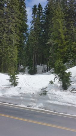 Photo Albums - Washington Ski Touring Club