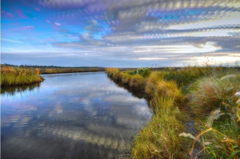 AAFM Home - Alabama Association of Floodplain Managers