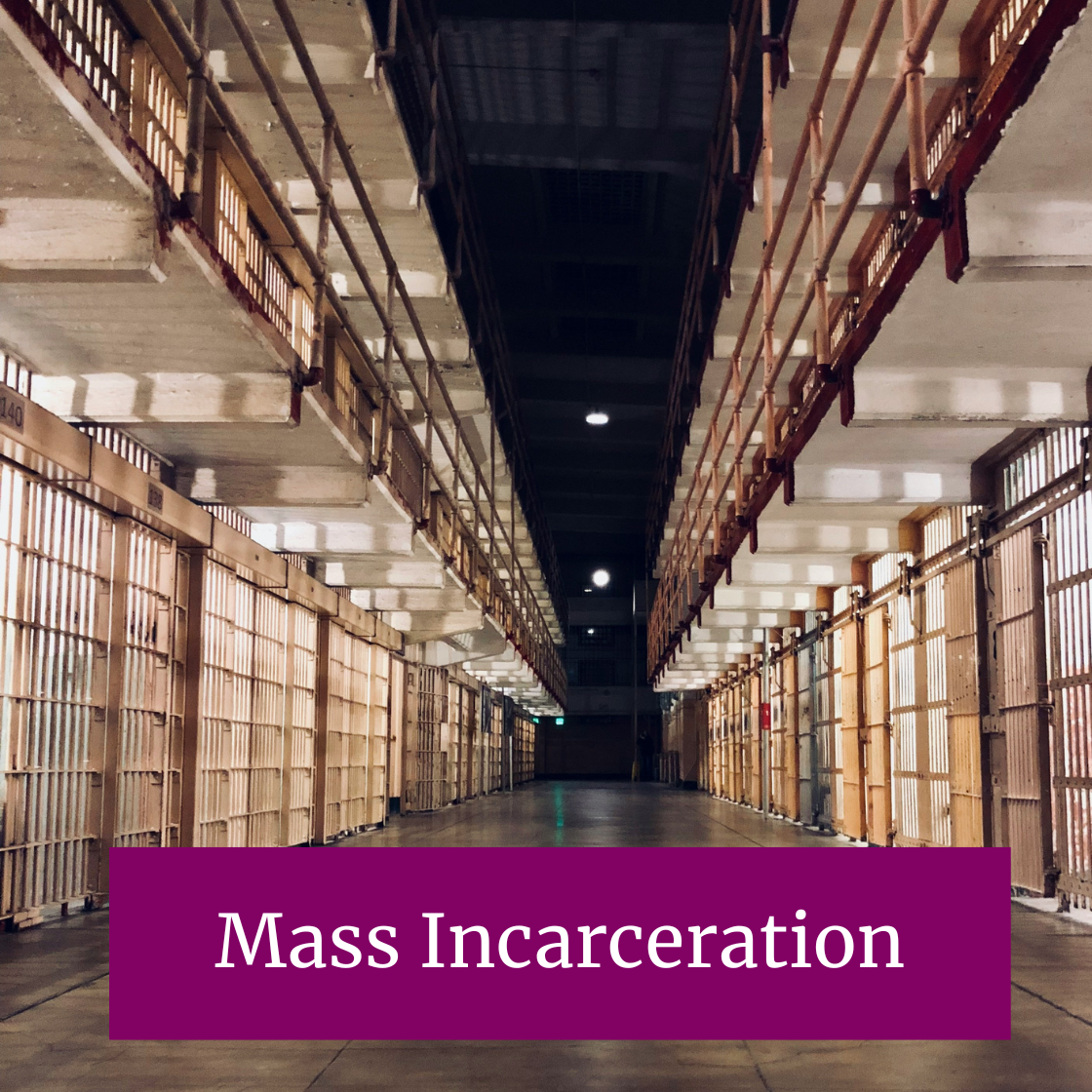 Mass Incarceration Advocacy Committee Meeting - Events - League of ...