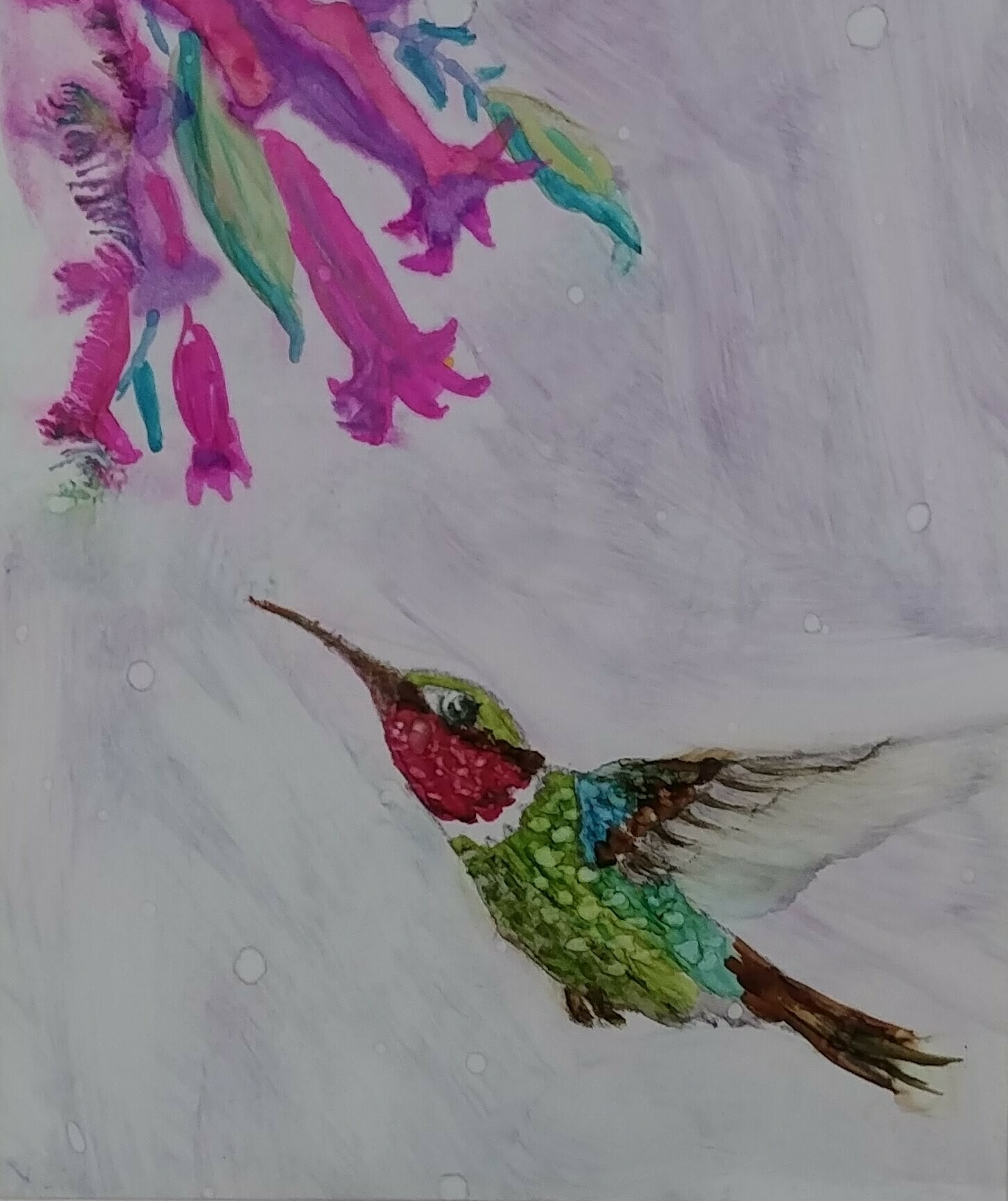 Hummingbird in Alcohol Ink taught by Karen Brungardt - Events ...