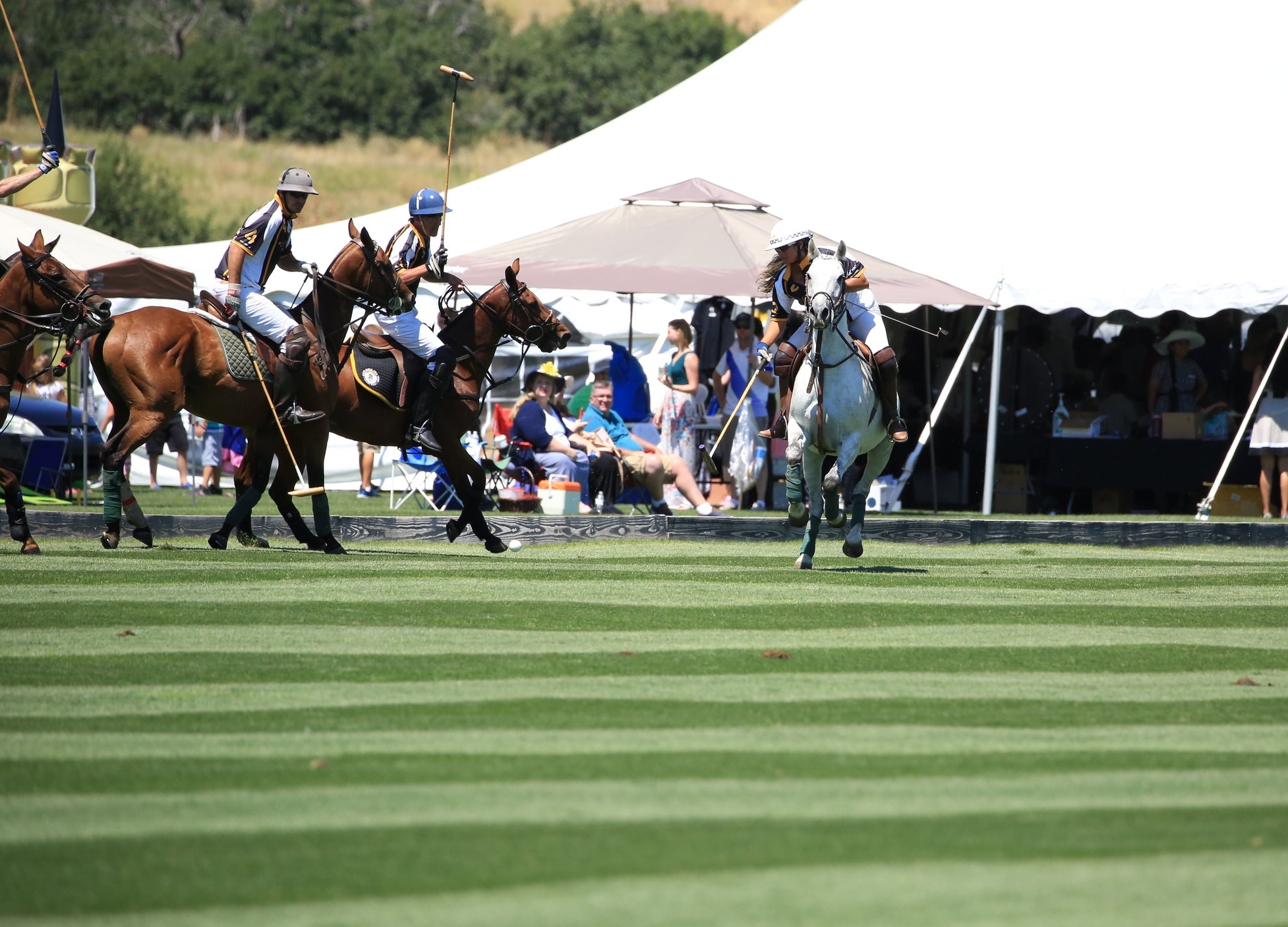 MEMBERS & THEIR GUESTS ONLY: IBCircle Tailgate at Denver Polo Club's ...