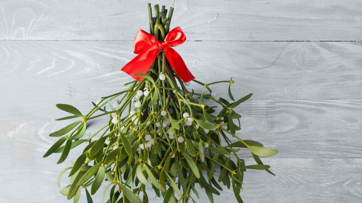 Christmas Party preparation - Events - Percy Priest Yacht Club