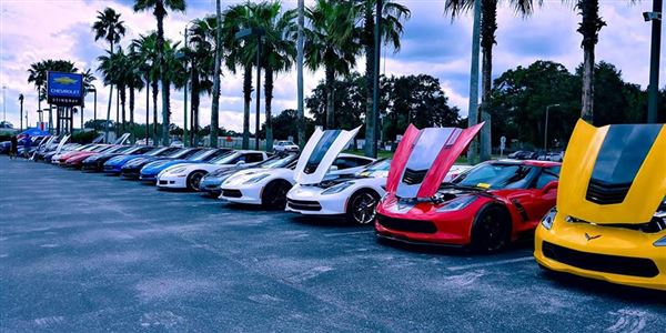 Photo Albums - Tampa Bay Vettes