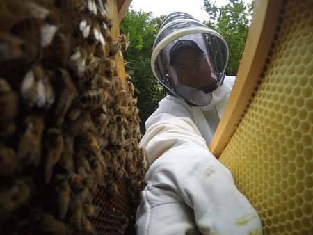 Home - Chester County Beekeepers Association