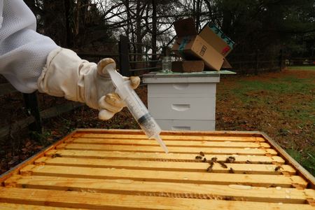 Home - Chester County Beekeepers Association
