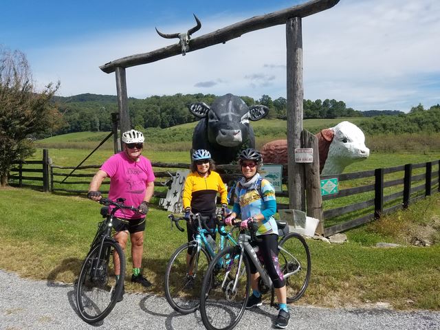 Photo Albums - Blue Ridge Bicycle Club