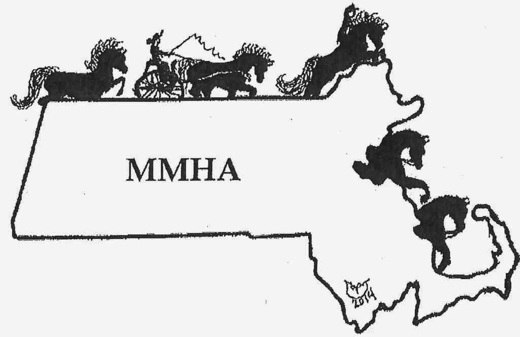 Home - Massachusetts Morgan Horse Association