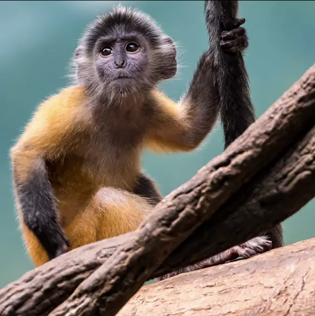 Home - Pocono Photo Club