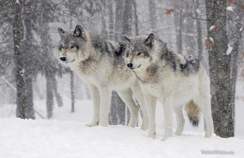 Home - Pocono Photo Club