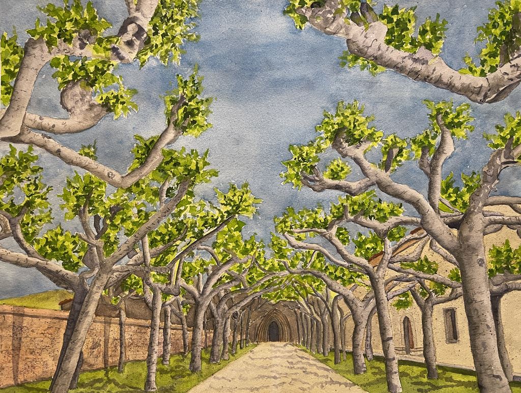 Photo Albums - Santa Clara Valley Watercolor Society