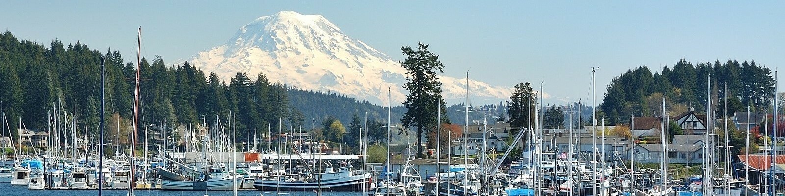 Home - Gig Harbor New Neighbors