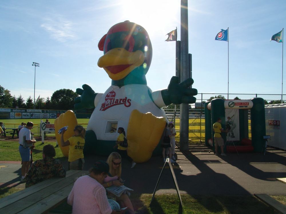 Photo Albums - Mad City Vettes