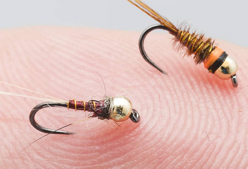 Event Test - Events - Big Bend Middle School PTA