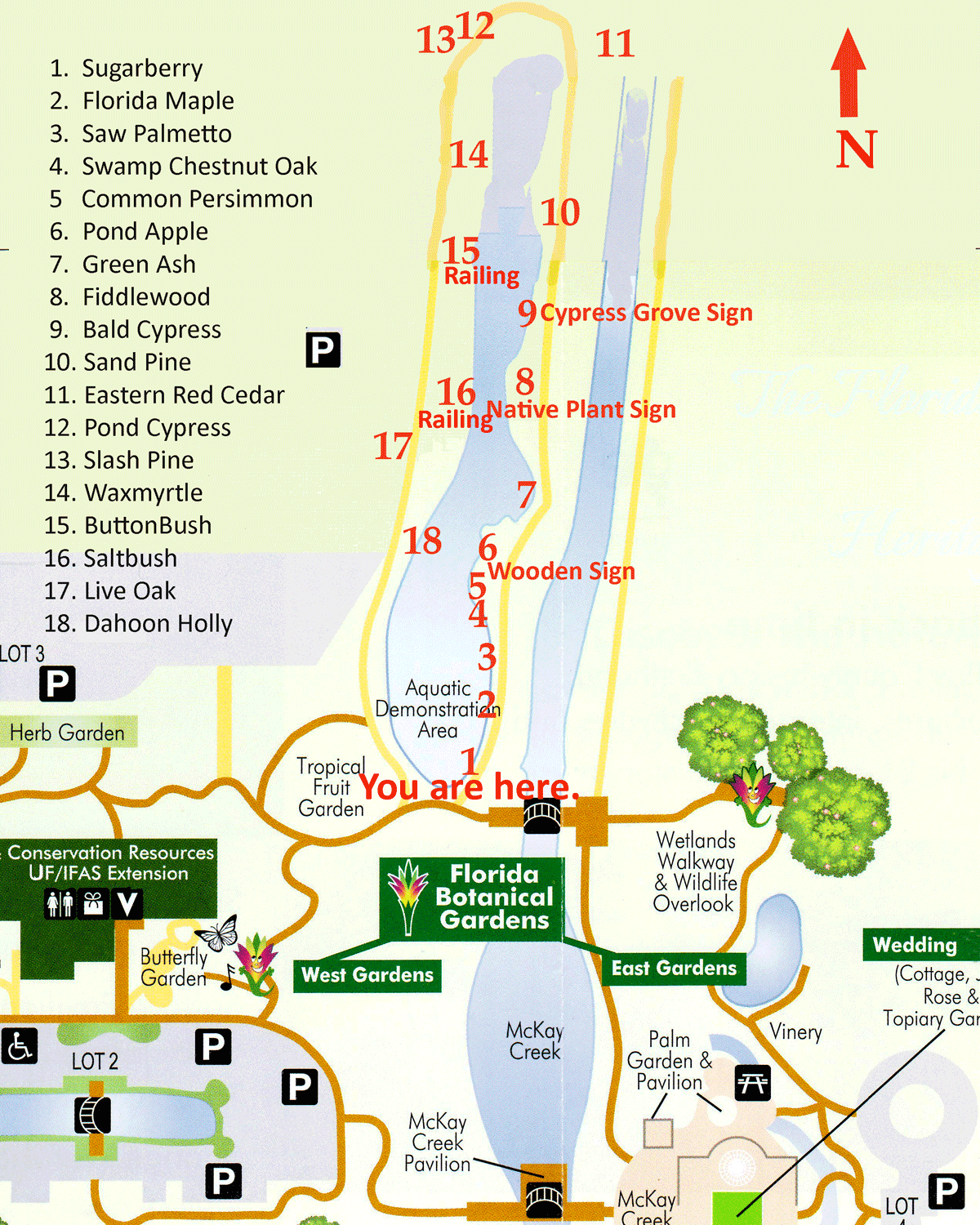 Garden Activities Florida Botanical Gardens - Florida Botanical Gardens ...