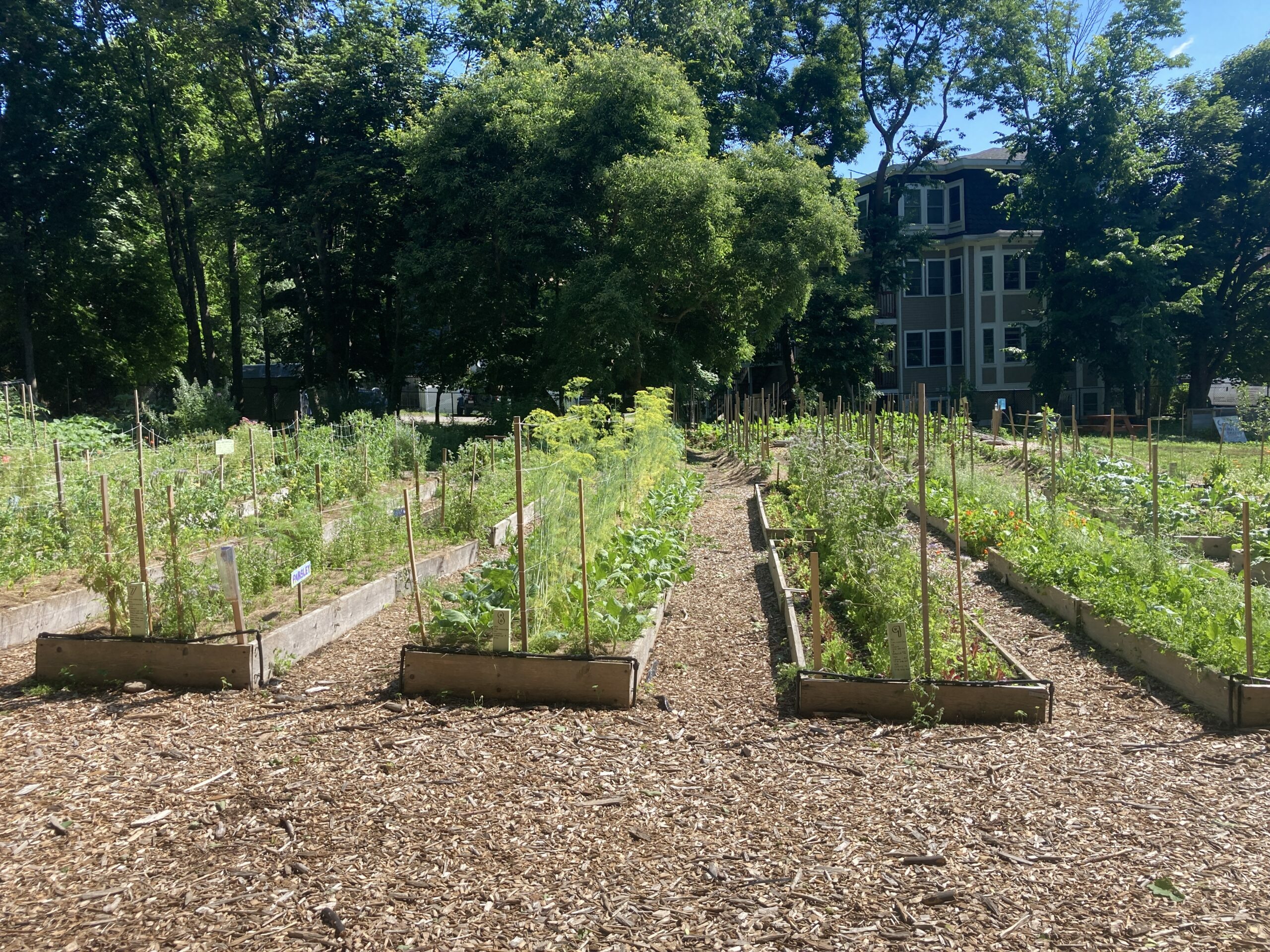 BOS (P) - Visit Haley House Urban Farm - Events - The Transition Network