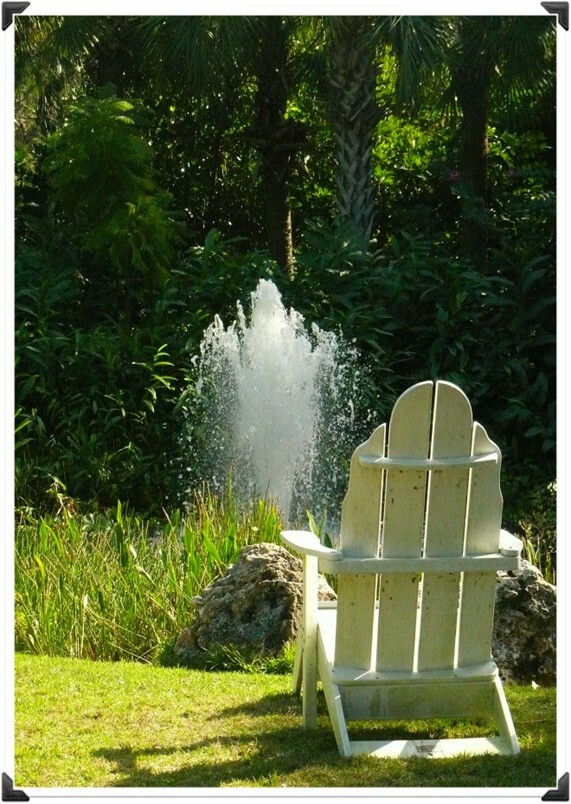 NAT Discover Your Pathways Through Photography (Tuesday, May 20, 7pm ...