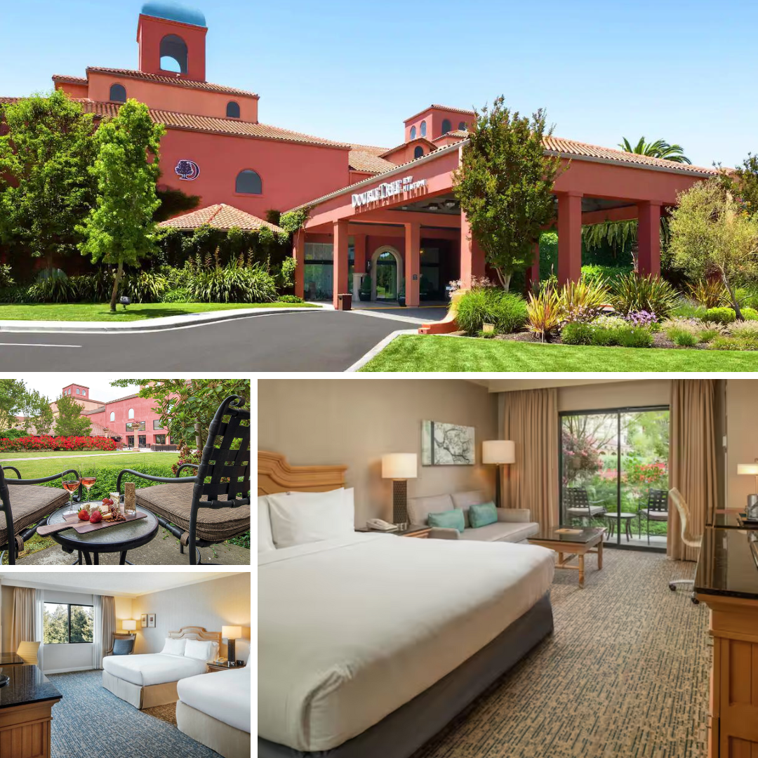 CONFERENCE VENUE & LOCATION