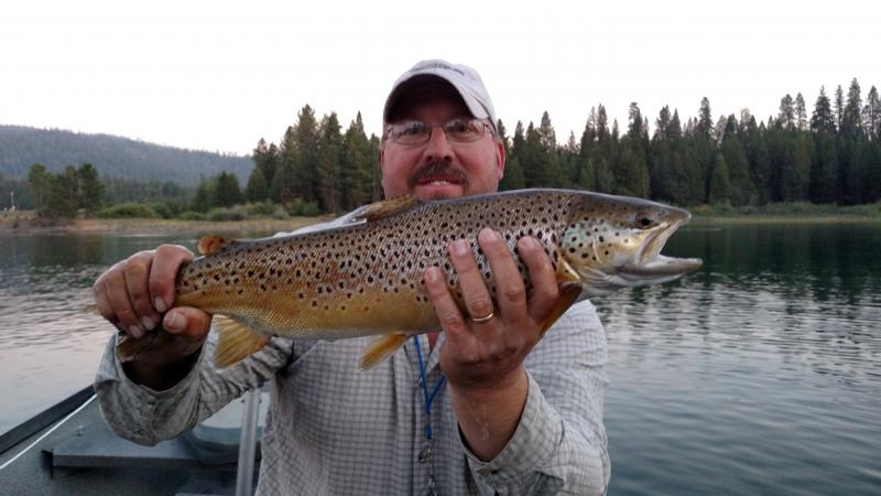 Home - Fly Fishers for Conservation
