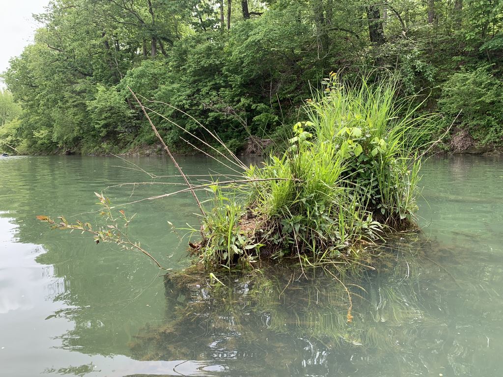 Photo Album List - Houston Canoe Club