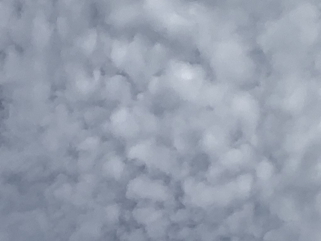 Photo Album List - Houston Canoe Club
