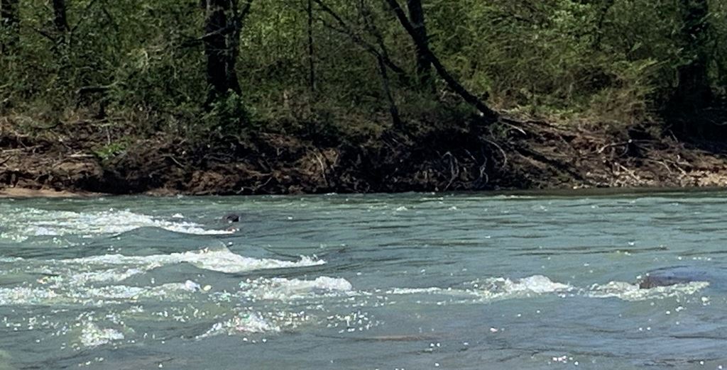 Photo Album List - Houston Canoe Club