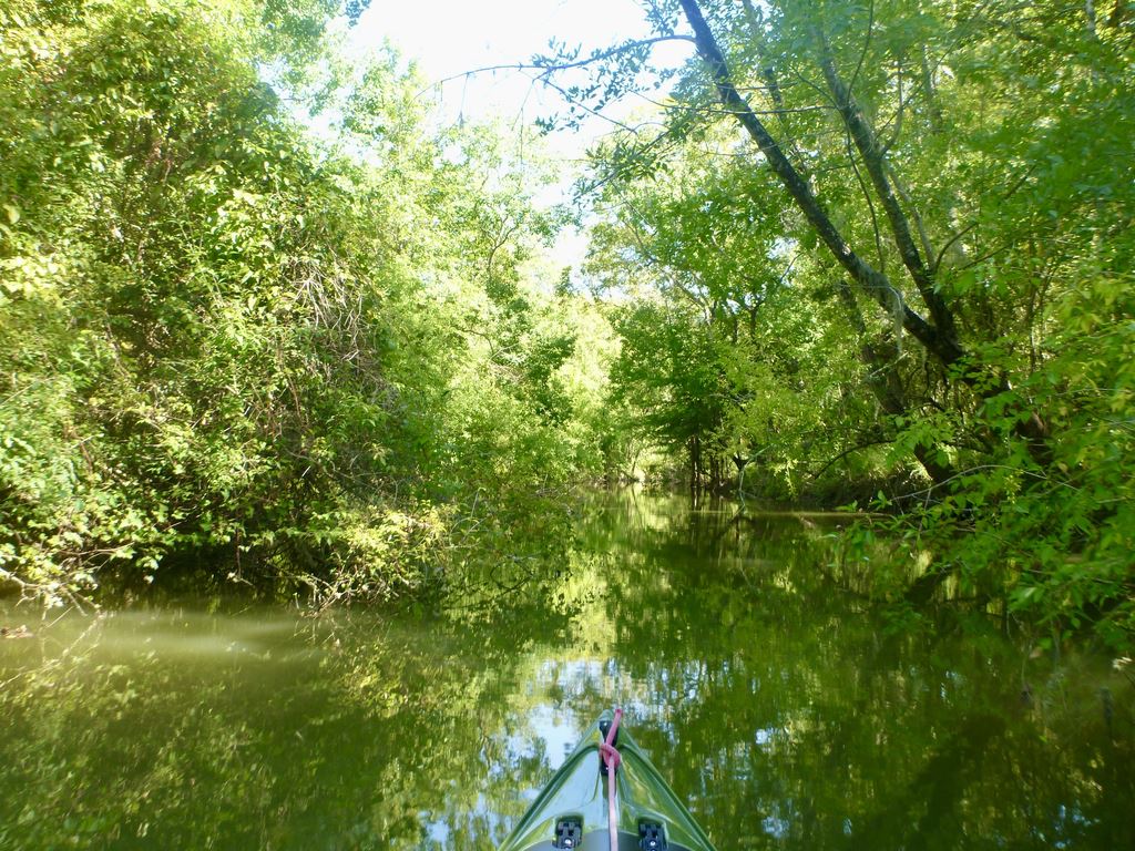Photo Album List - Houston Canoe Club