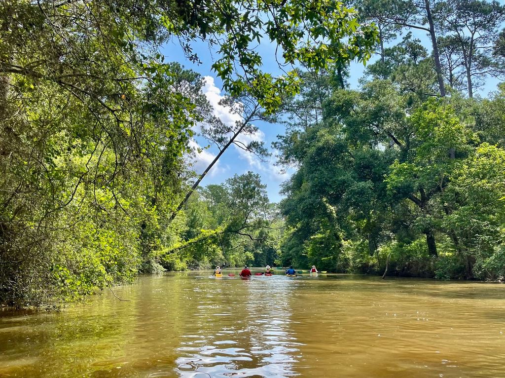 July 2023 Double Bayou East - Houston Canoe Club