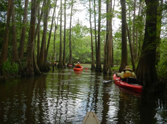 June 2022 Turtle Bayou - Houston Canoe Club