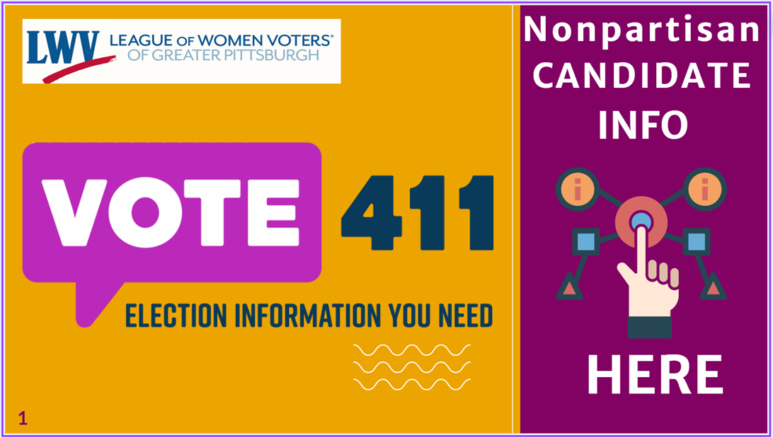 Voter Resource Library, civic education infographics, explainers ...