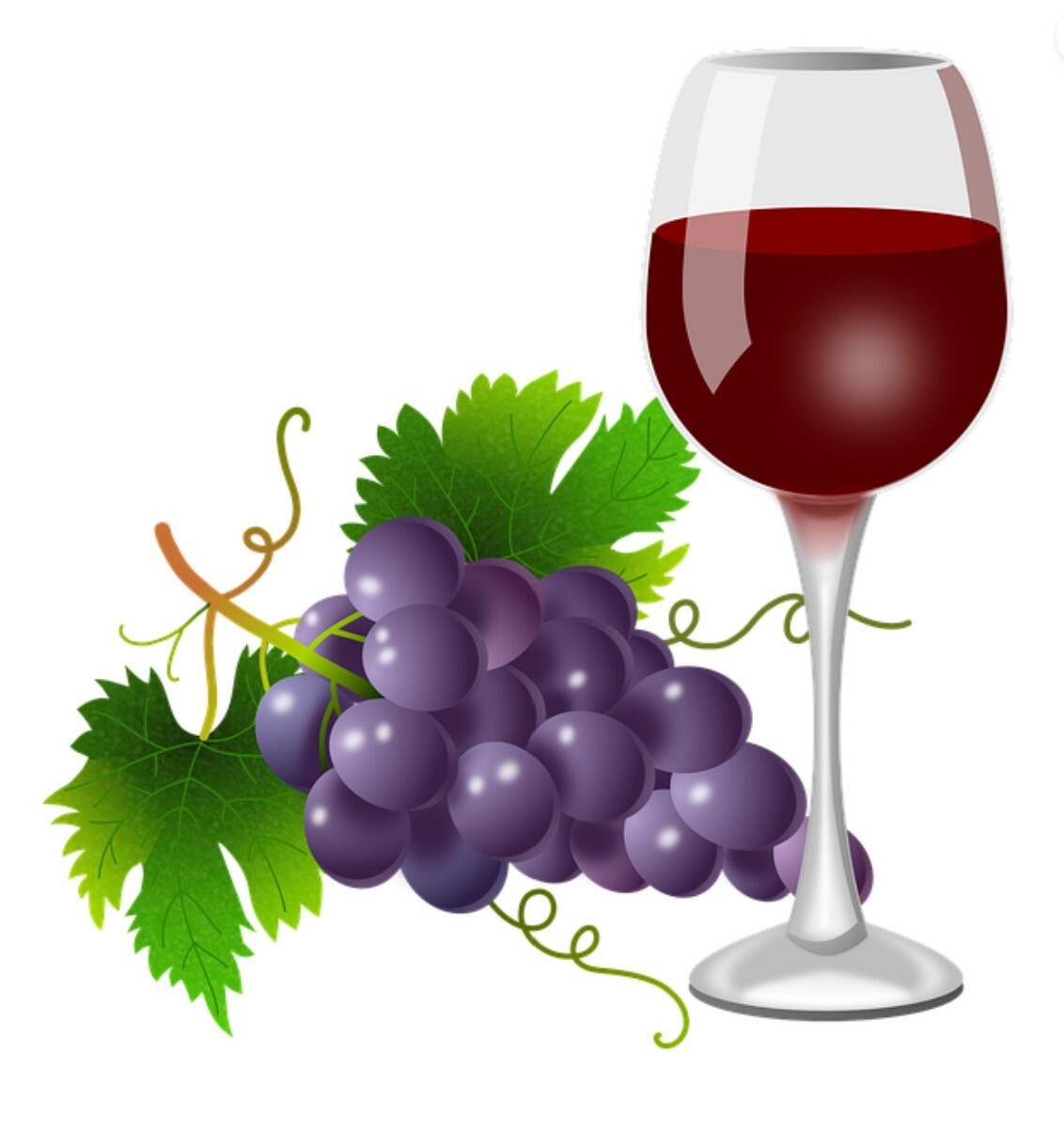 Home - CWC Wine Club